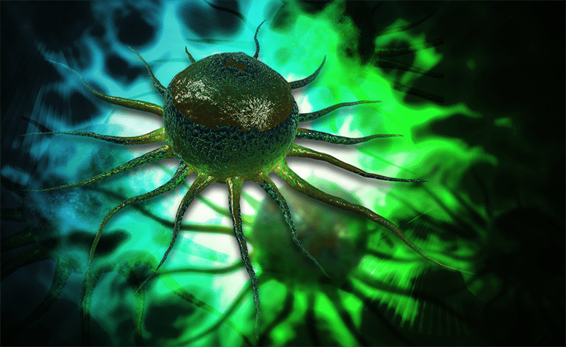 The Language of Stem Cell Medicine: What are They? What Makes Them so ...